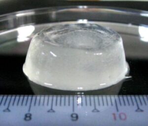 研究内容 - 鹿児島大学 武井研究室 Takei Lab