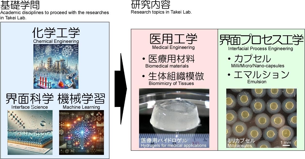 研究内容 - 鹿児島大学 武井研究室 Takei Lab